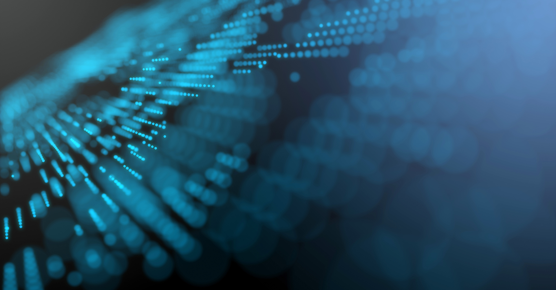 Services Provided – Volunteer Security